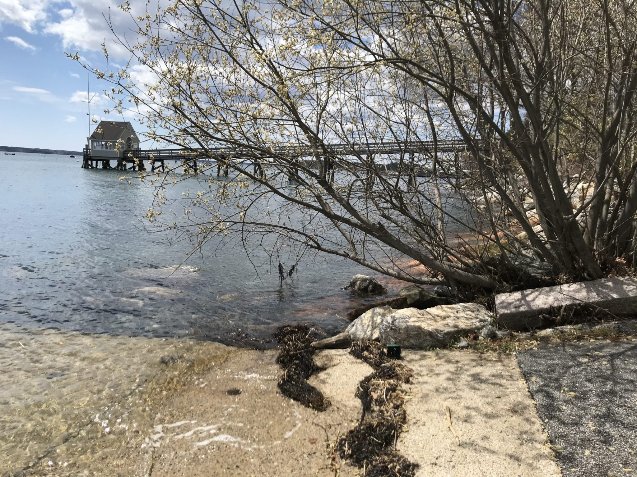 Portland Yacht Club on May 7, 2020 by Judith Fergin • Friends of Casco Bay