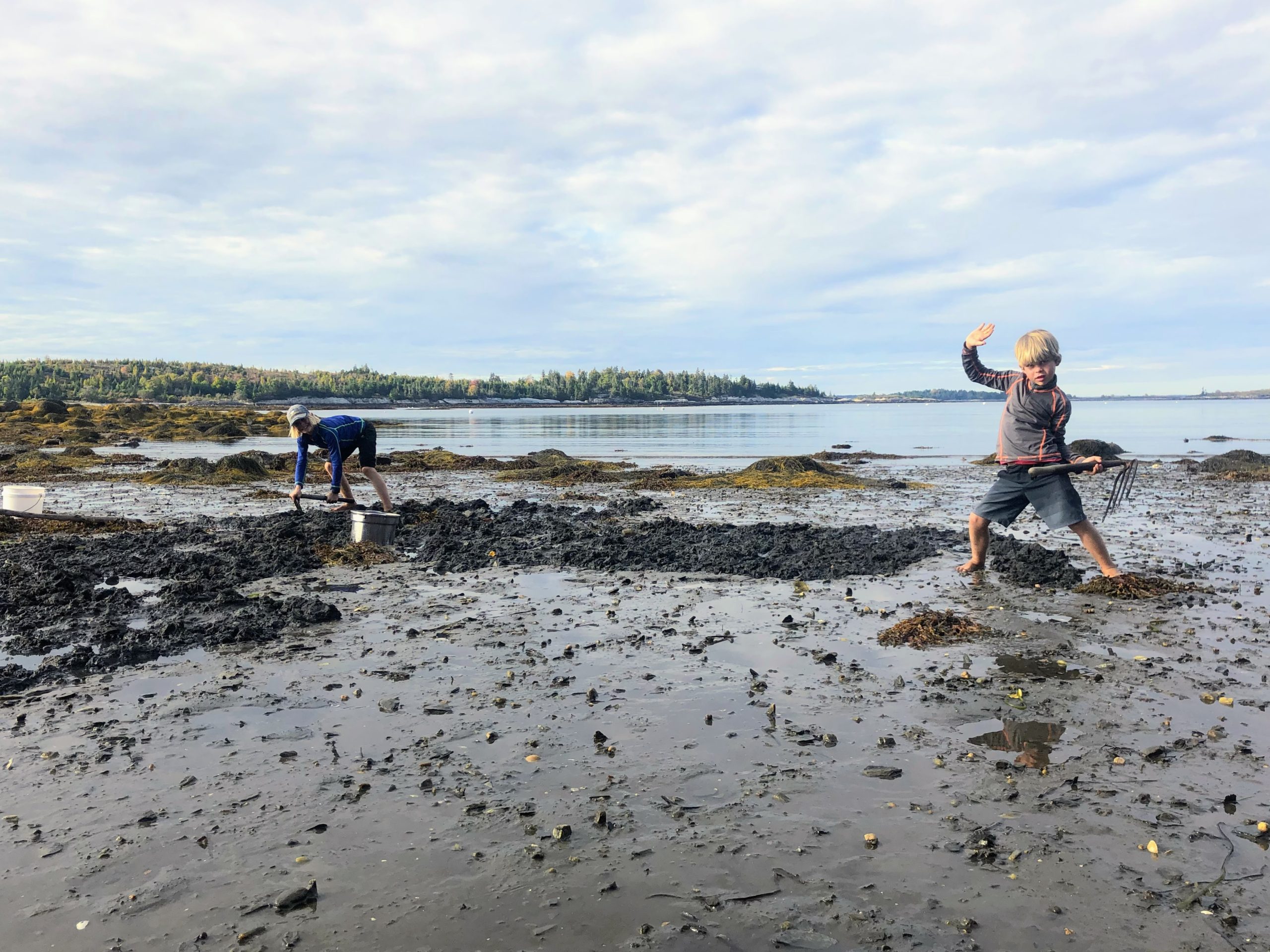 Clammers by Heidi Holloway • Friends of Casco Bay